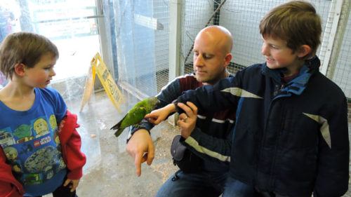 World Parrot Refuge On Vancouver Island - Traveling Islanders