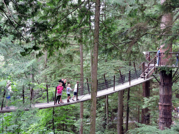300 Feet Up At Capilano Suspension Bridge Park - Traveling Islanders