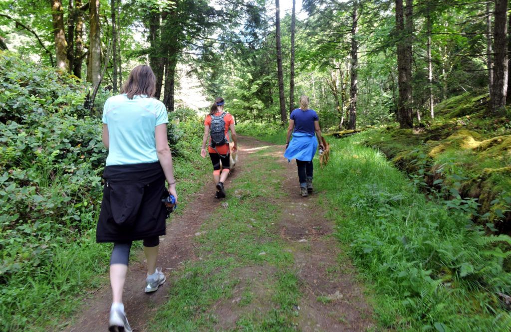 Stoney Hill Hiking Trail In The Cowichan Valley - Traveling Islanders