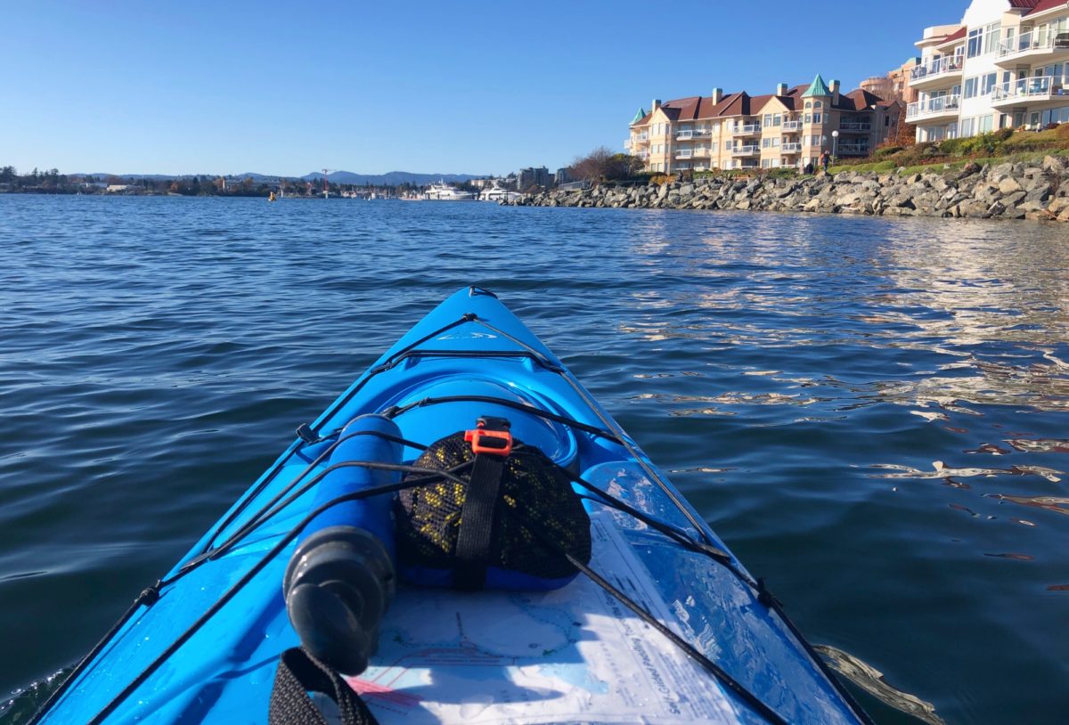 Victoria Harbour Kayaking Adventure - Traveling Islanders