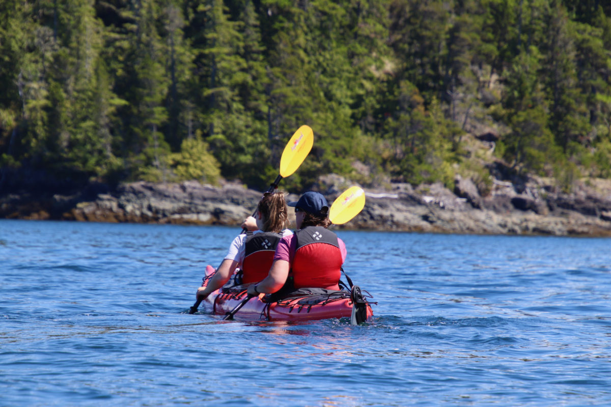 Experience The Beauty Of Vancouver Island By Kayak - Traveling Islanders