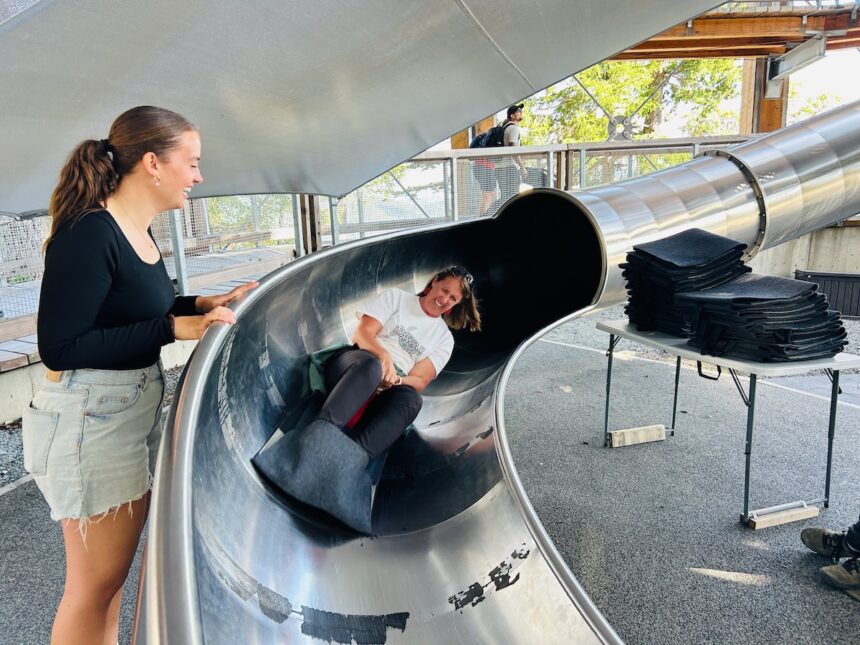 Sky-High Fun and Stunning Views: Discover the Malahat Skywalk ...